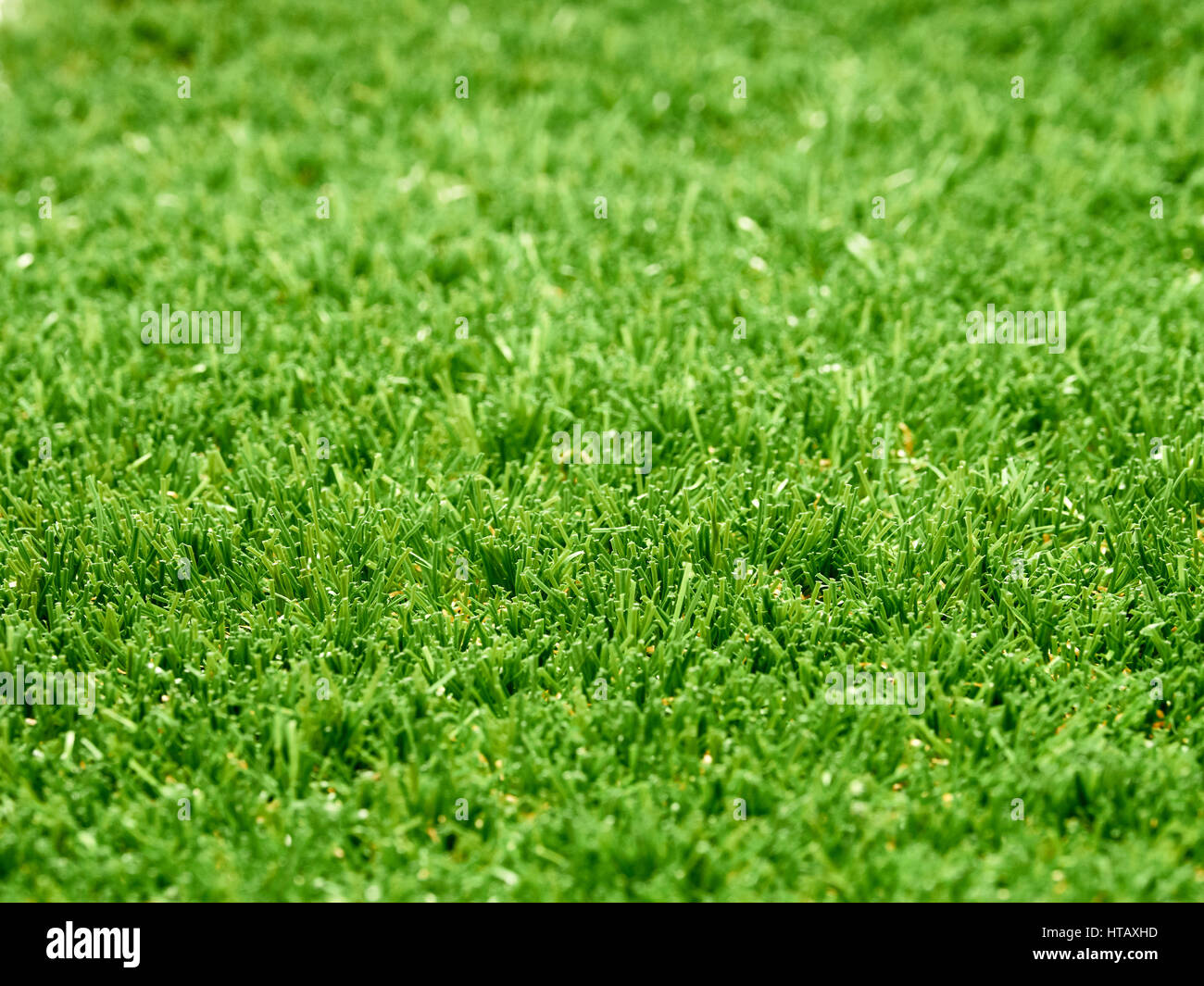 45° abgewinkelt, Blick auf grüne Astro Turf Rasen, abstrakte Rasen ...