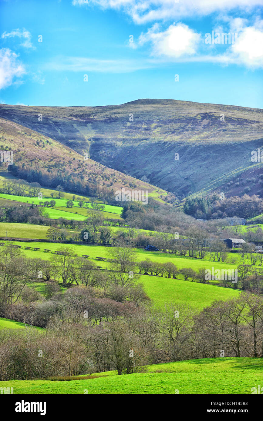 Woland -Fotos und -Bildmaterial in hoher Auflösung – Alamy