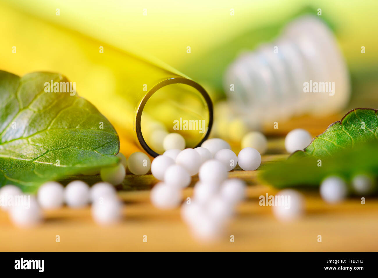 Globuli blatt -Fotos und -Bildmaterial in hoher Auflösung – Alamy