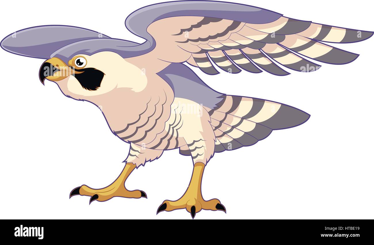 Falke Cartoon Zeichnung Handgezeichnete Cartoon Falke Illustration