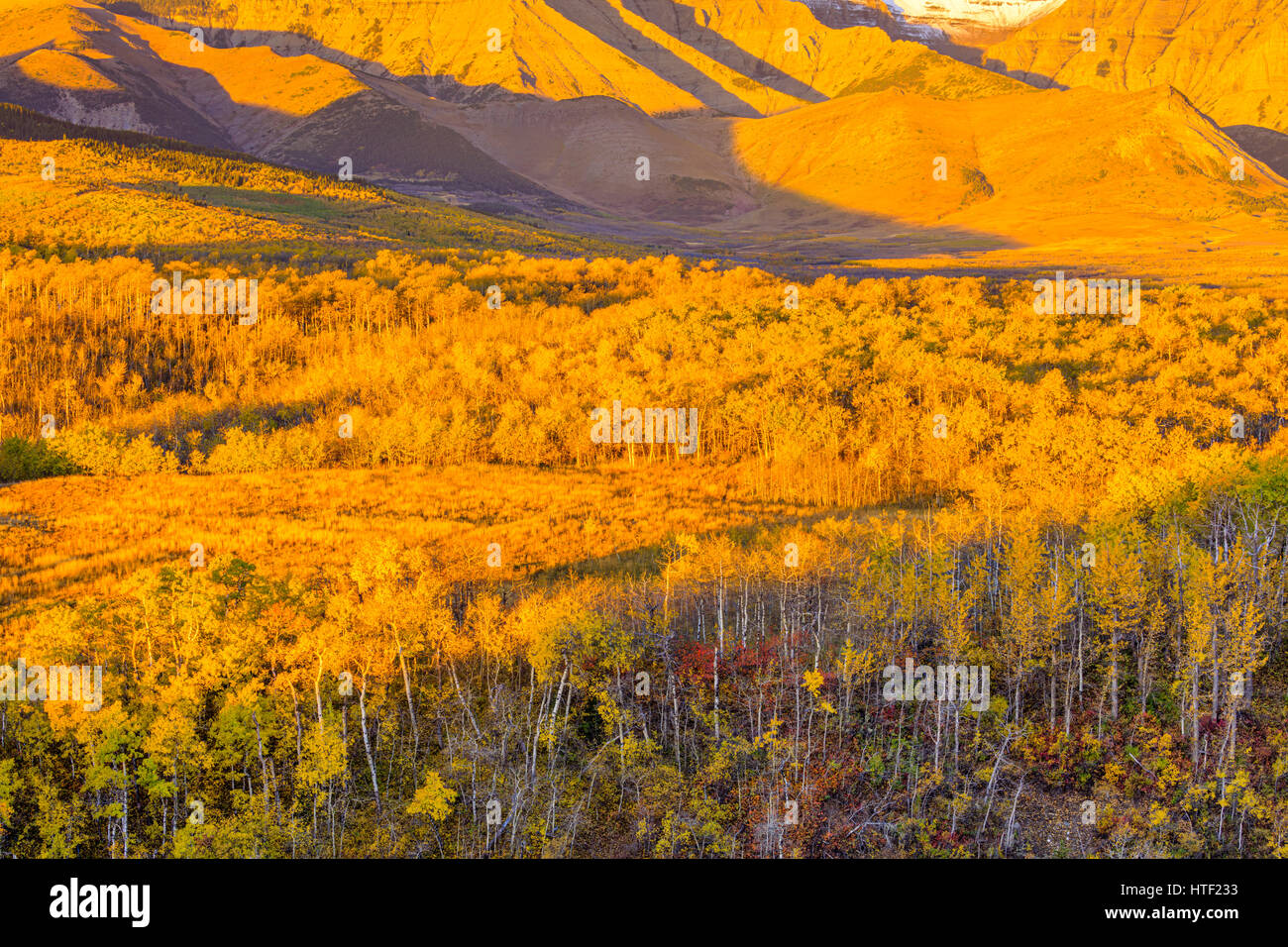 Ranching alberta -Fotos und -Bildmaterial in hoher Auflösung – Alamy