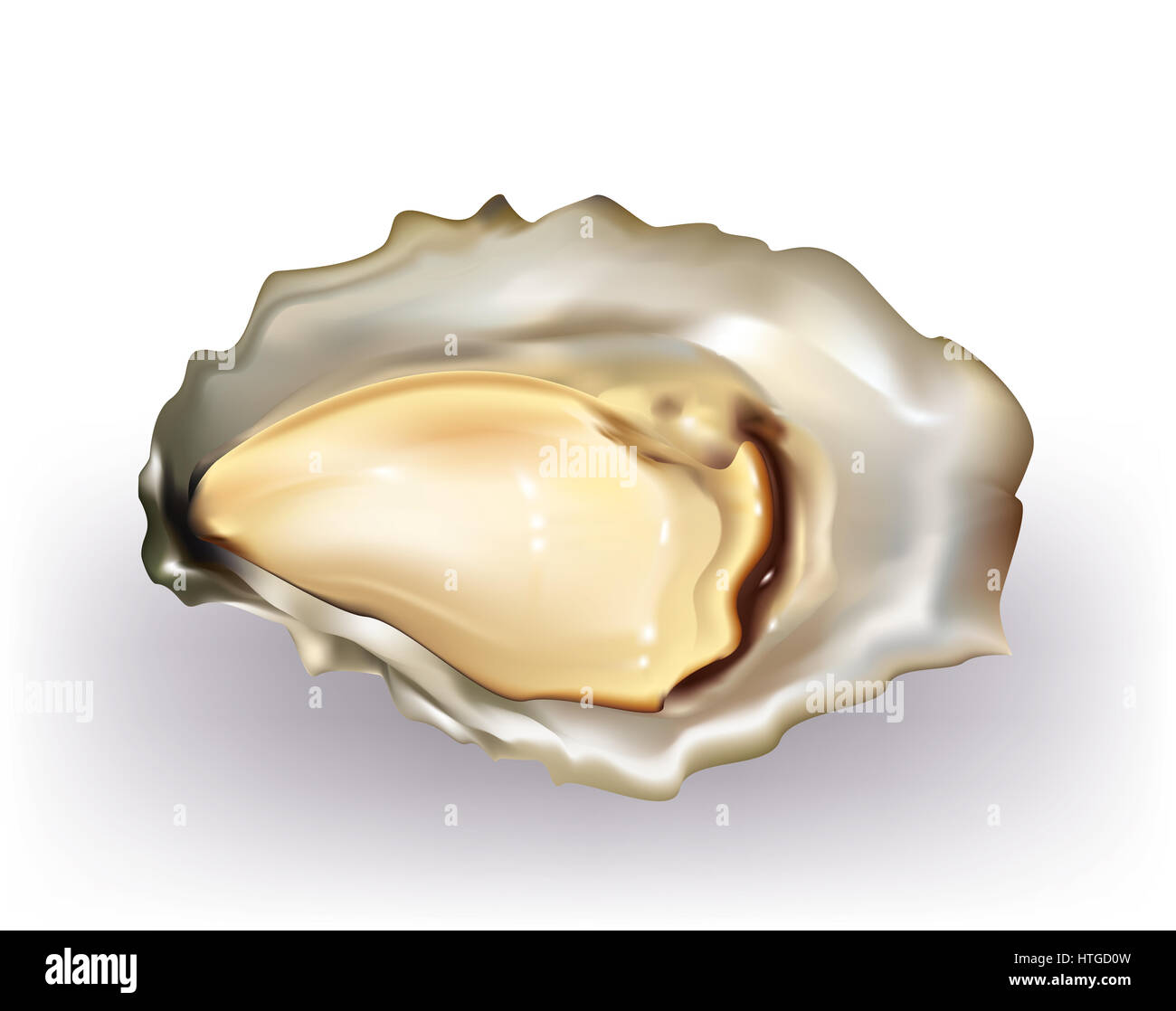 Auster schalentiere Stockfotos und -bilder Kaufen - Alamy