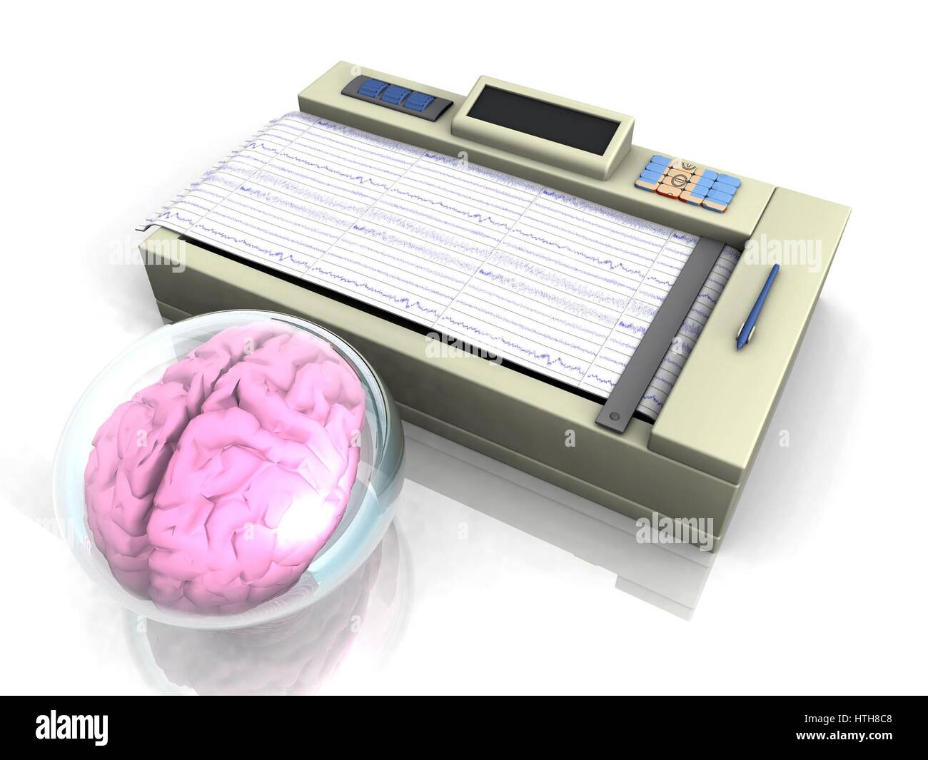 Sezieren gehirn -Fotos und -Bildmaterial in hoher Auflösung – Alamy