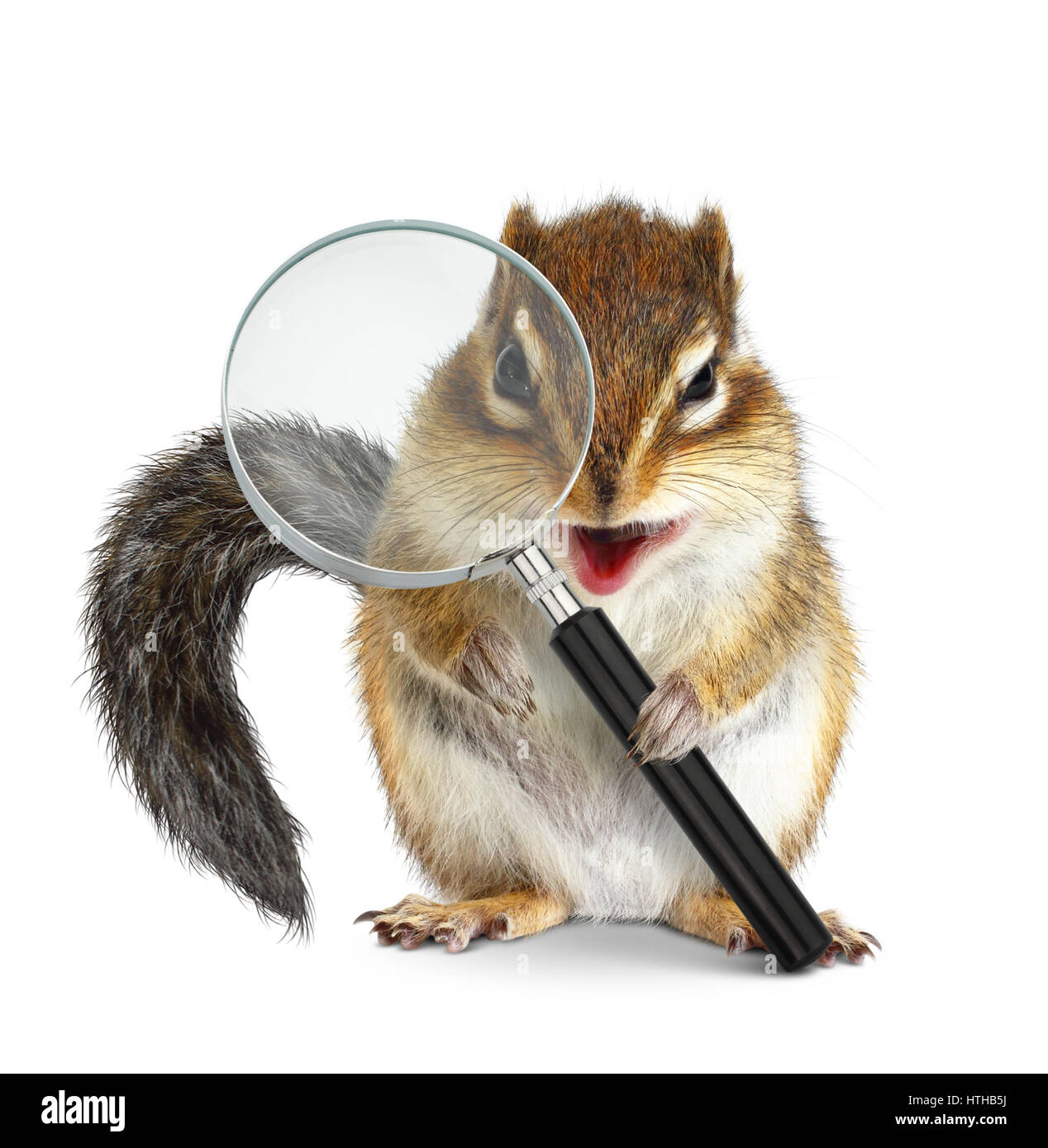 Suchender Blick Stockfotos und -bilder Kaufen - Alamy