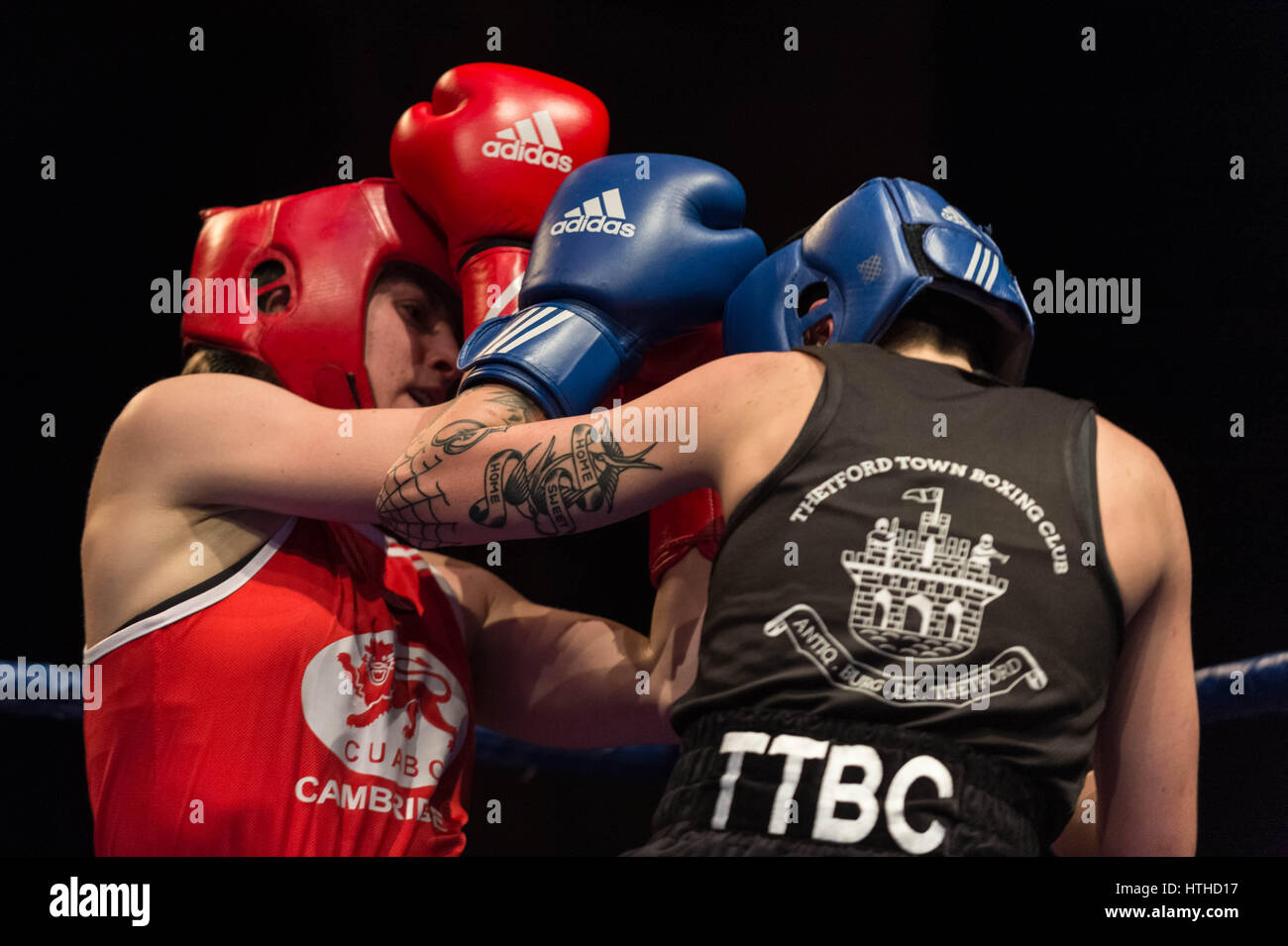 Thetford town boxclub -Fotos und -Bildmaterial in hoher Auflösung – Alamy