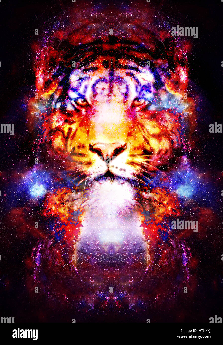 Collage de texturas tiger -Fotos und -Bildmaterial in hoher Auflösung ...