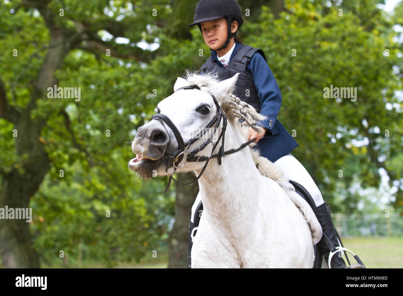 Mädchen mit pferd -Fotos und -Bildmaterial in hoher Auflösung – Alamy