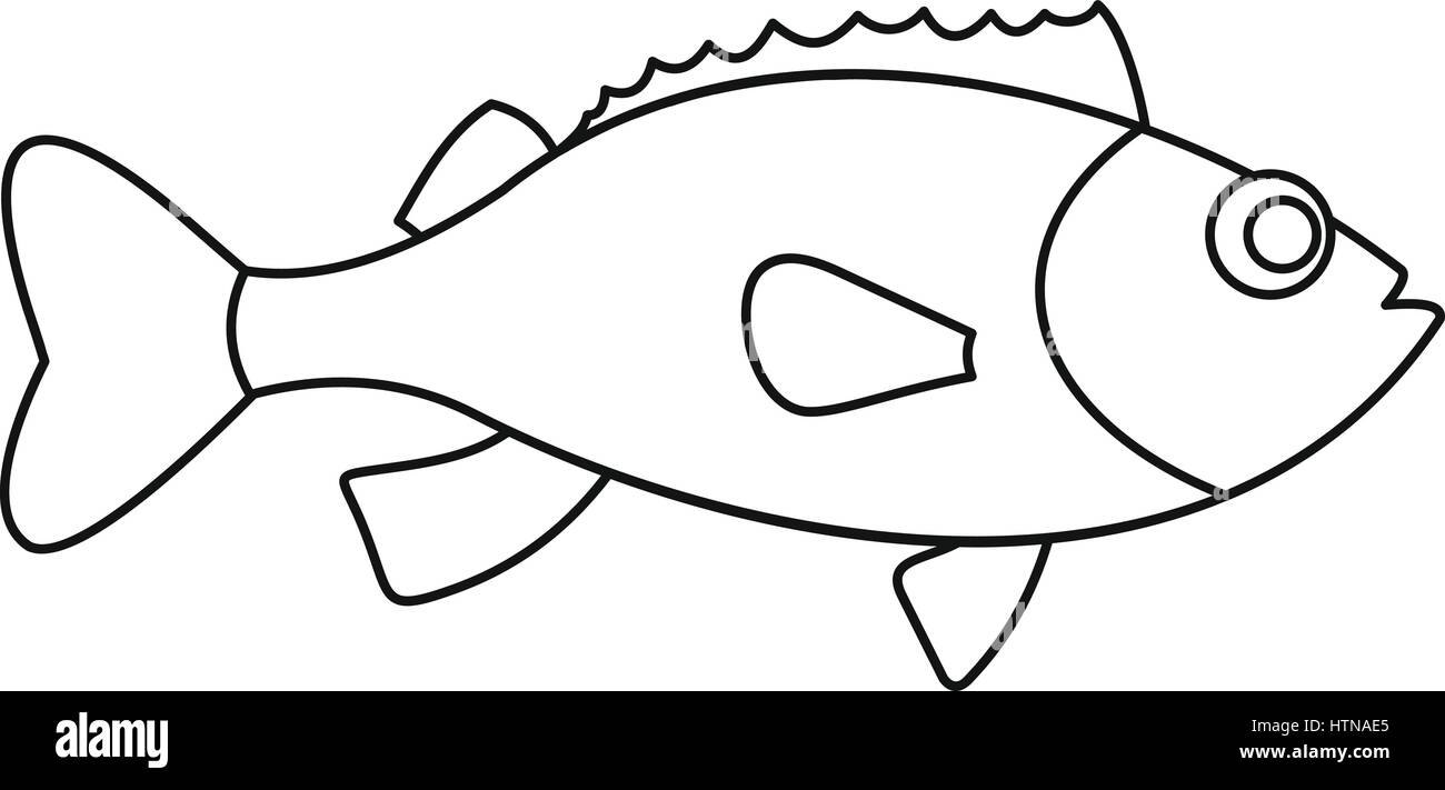 Seebarsch-Symbol. Umriss-Illustration der Wolfsbarsch Vektor Icon für ...