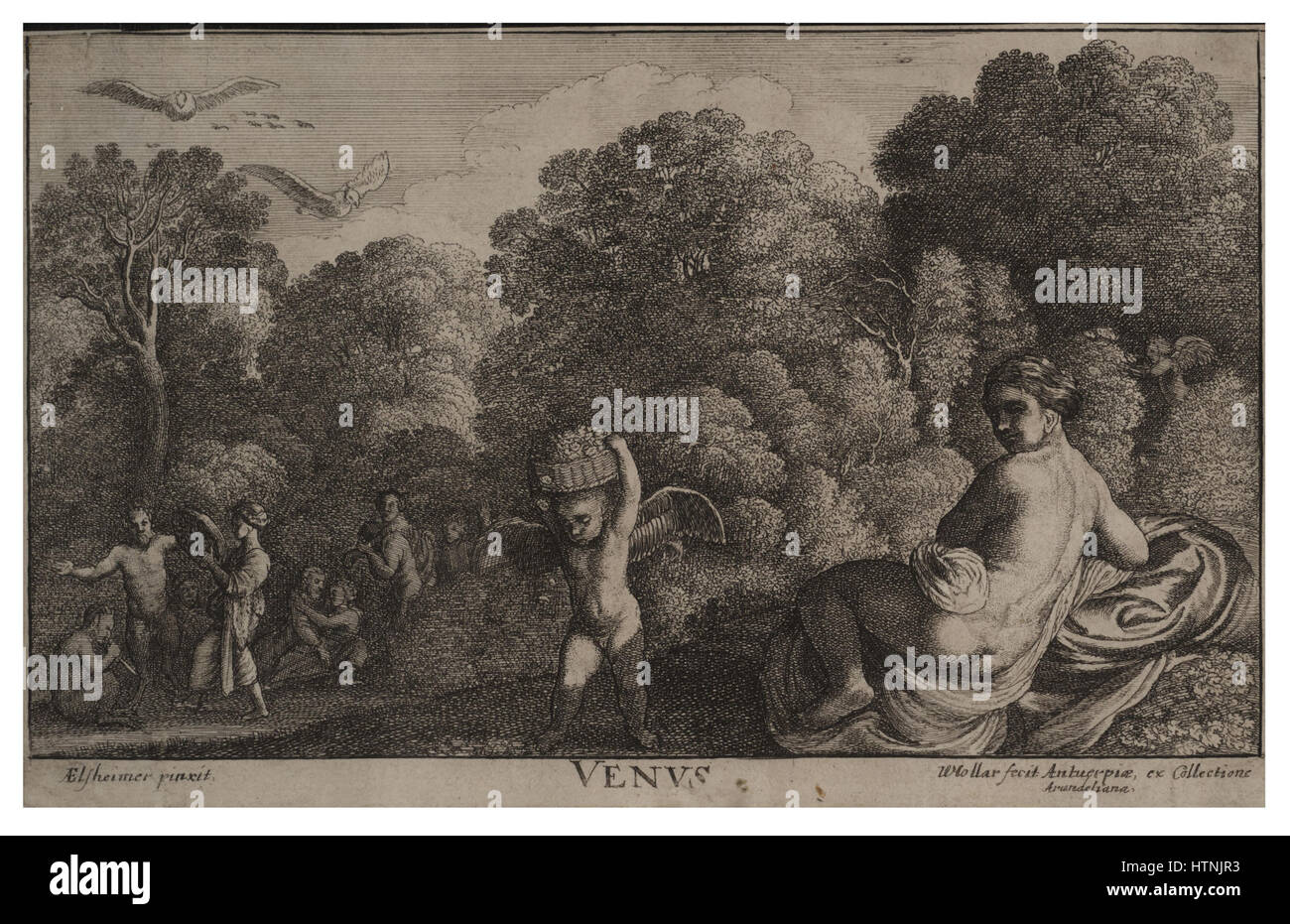 Wenzels Venus-Gravur von Wenzel Hollar zeigt eine klassische ...
