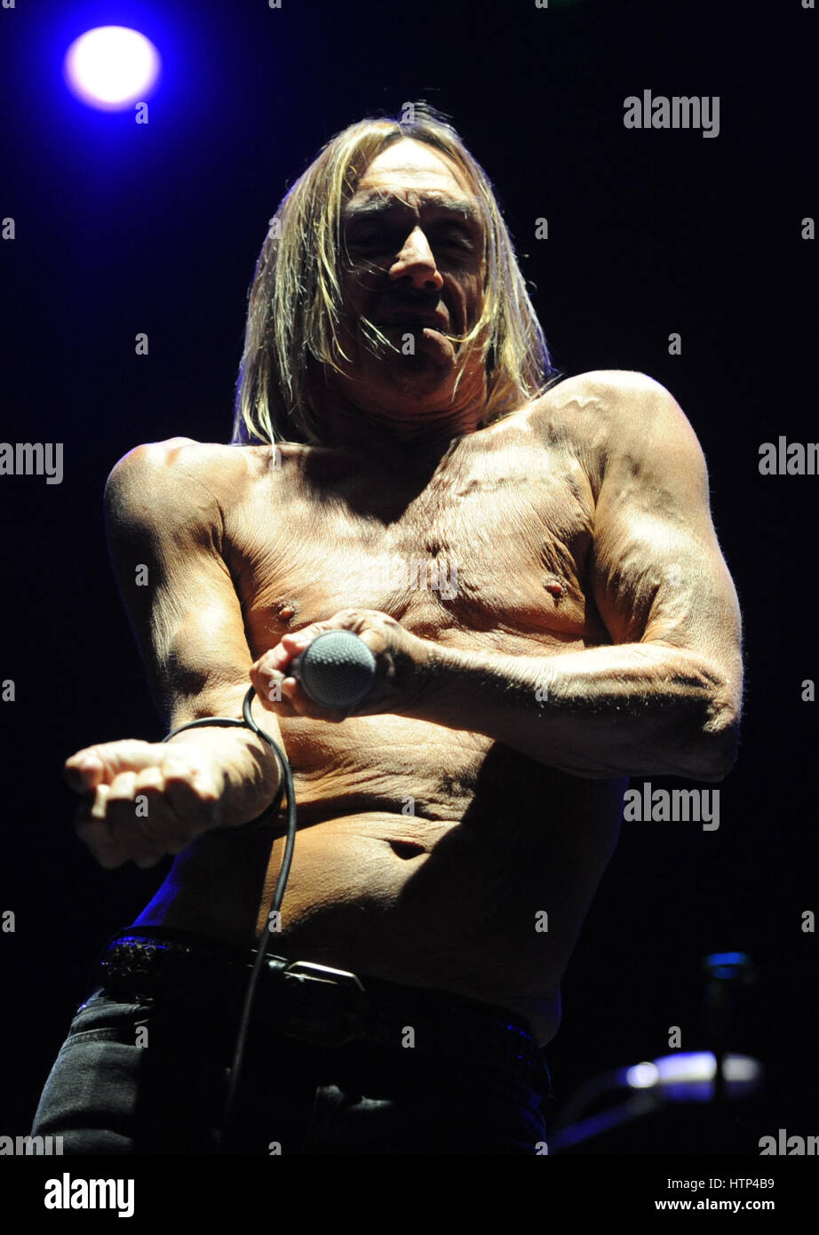 Iggy pop band iggy stooges -Fotos und -Bildmaterial in hoher Auflösung ...