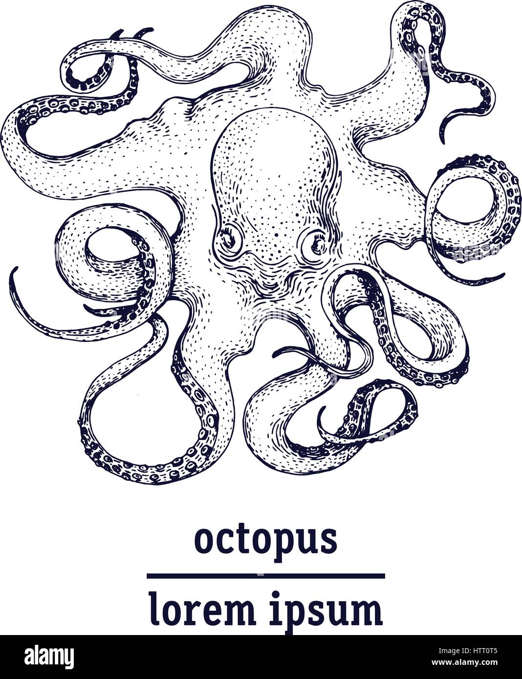 Octopus illustration -Fotos und -Bildmaterial in hoher Auflösung – Alamy