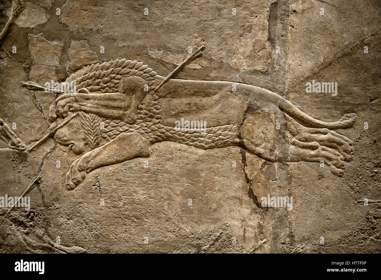 Assyrischen Relief Skulptur Panel aus dem Löwen jagen einem sterbenden ...