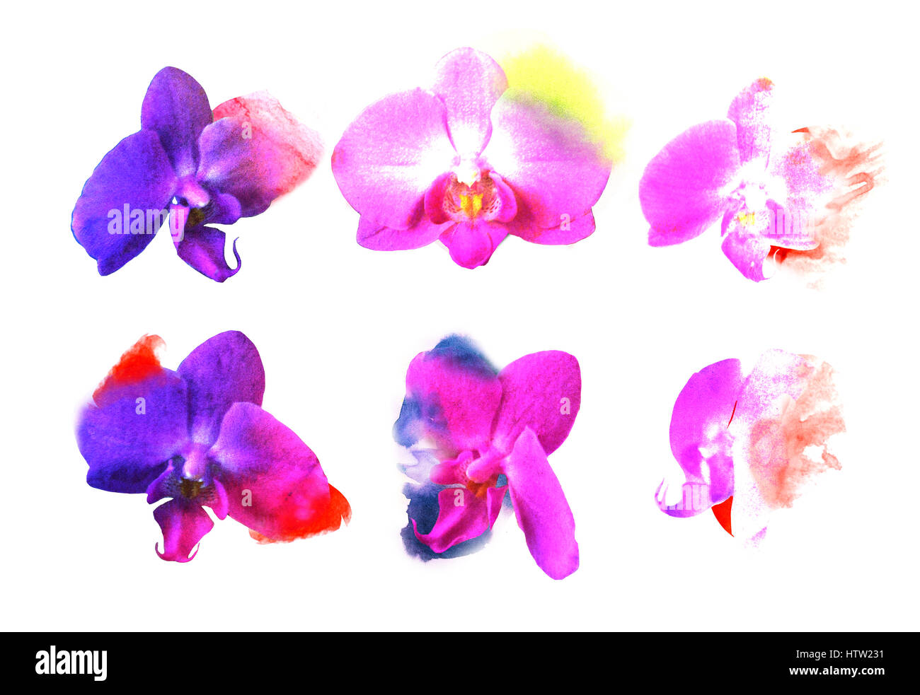 Legen Sie die Orchidee blüht. Aquarell Knospen mit Flecken der Farbe ...