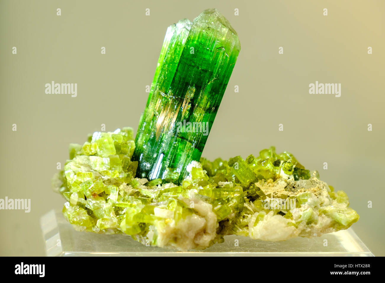 Green turmalin -Fotos und -Bildmaterial in hoher Auflösung – Alamy