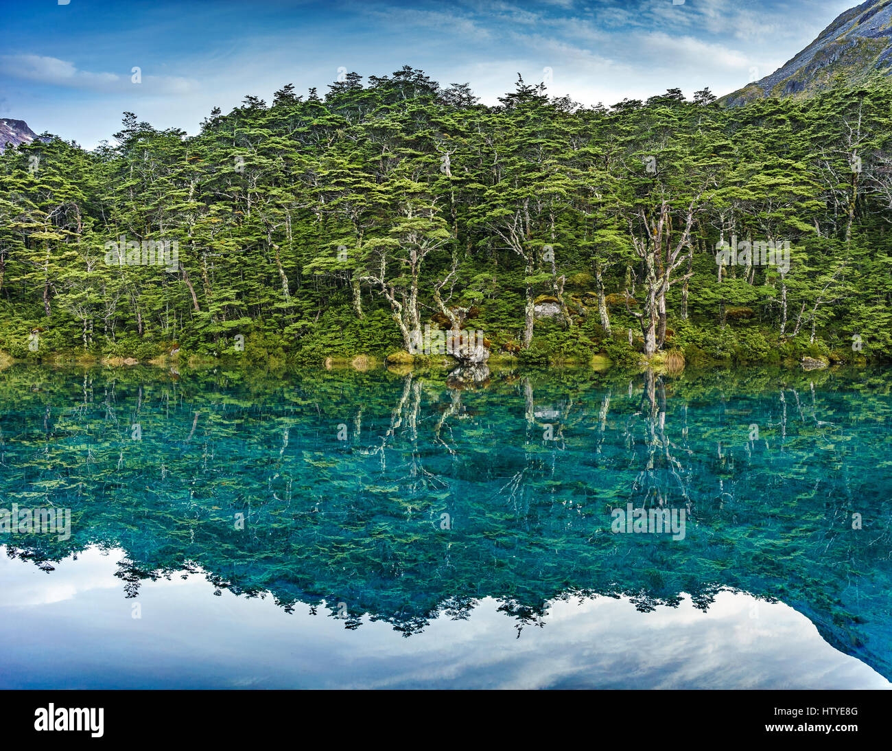 Nationalpark neuseeland -Fotos und -Bildmaterial in hoher Auflösung – Alamy