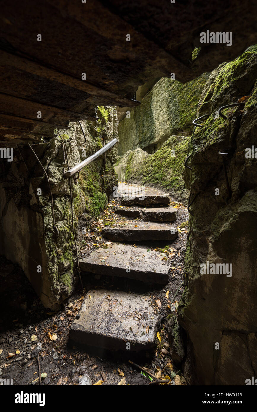 Wolfsschanze, Hitlers Bunker in Polen. Ersten Ostfront militärisches ...