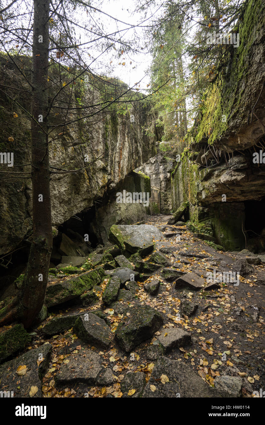 Wolfsschanze, Hitlers Bunker in Polen. Ersten Ostfront militärisches ...