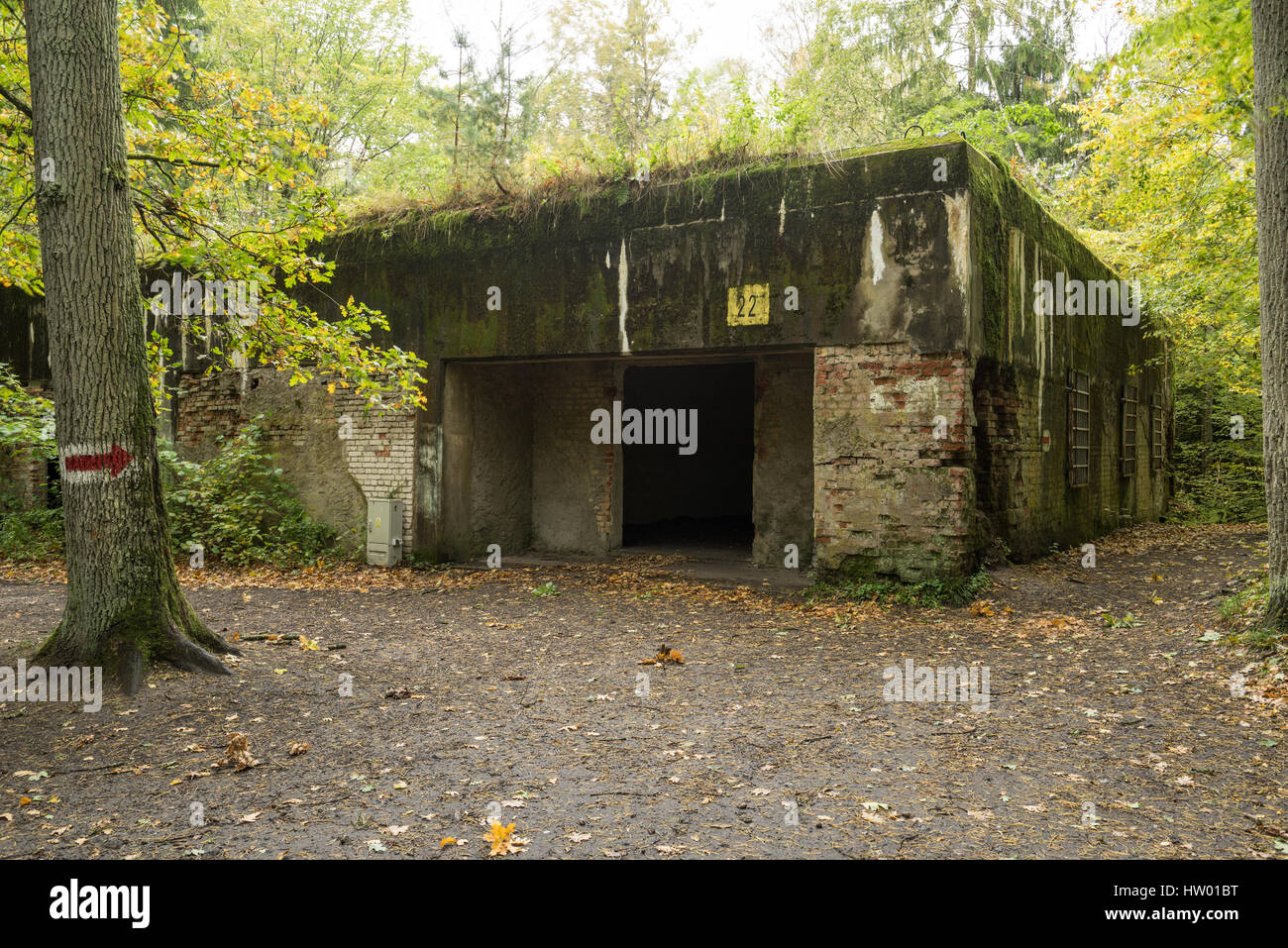Wolfsschanze, Hitlers Bunker in Polen. Ersten Ostfront militärisches ...