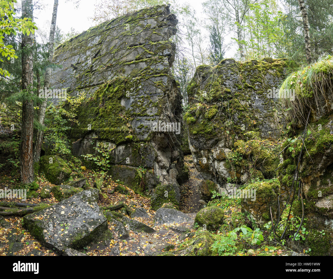 Wolfsschanze, Hitlers Bunker in Polen. Ersten Ostfront militärisches ...