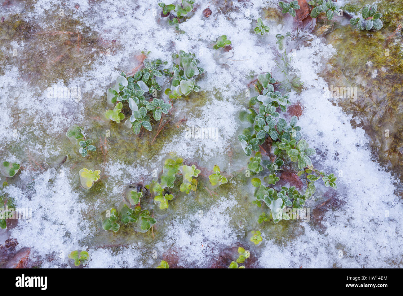 Schnee gefrorener boden -Fotos und -Bildmaterial in hoher Auflösung – Alamy