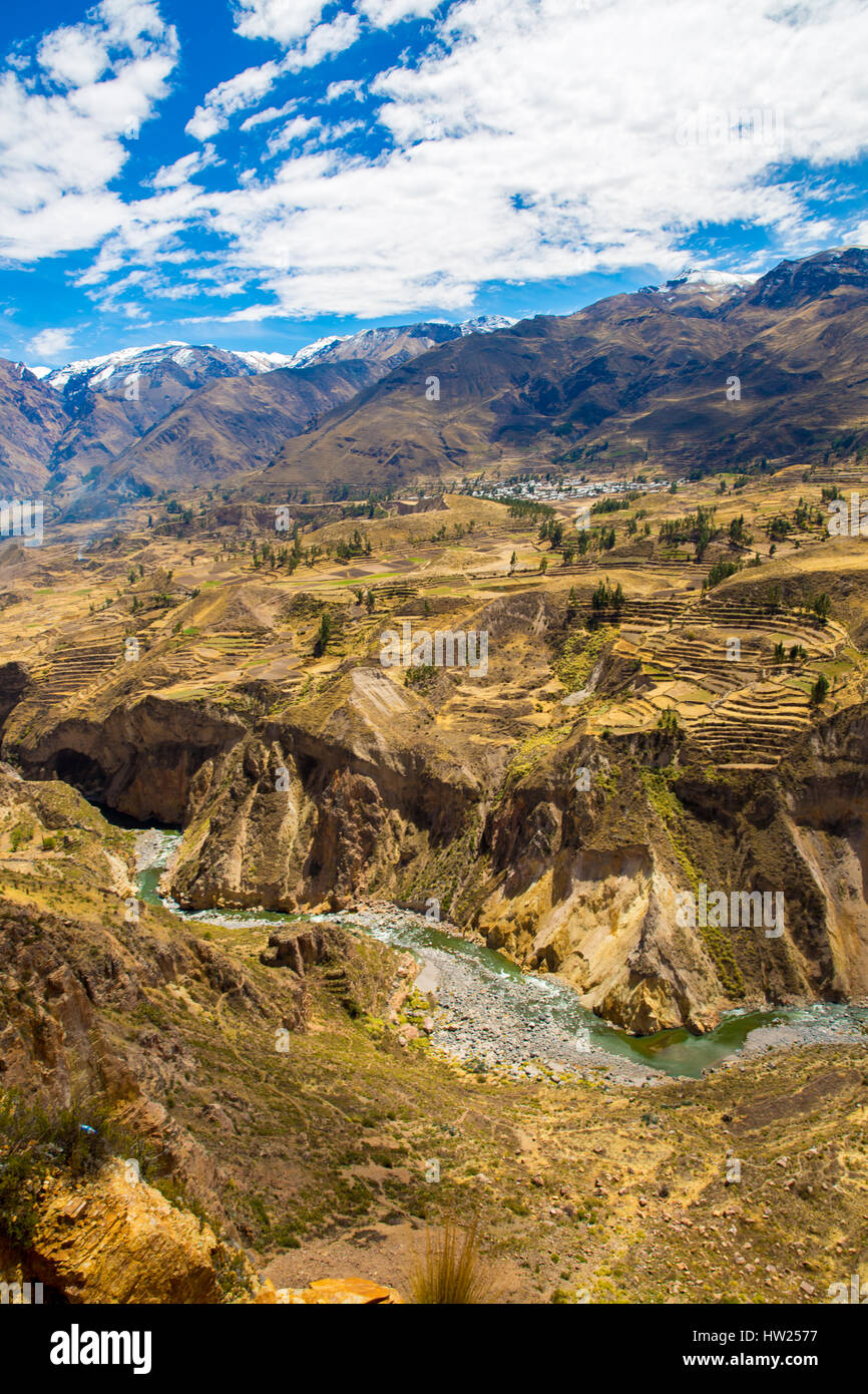 Colca Canyon, Peru, Südamerika. Inkas, Terrassenfelder mit Teich und ...