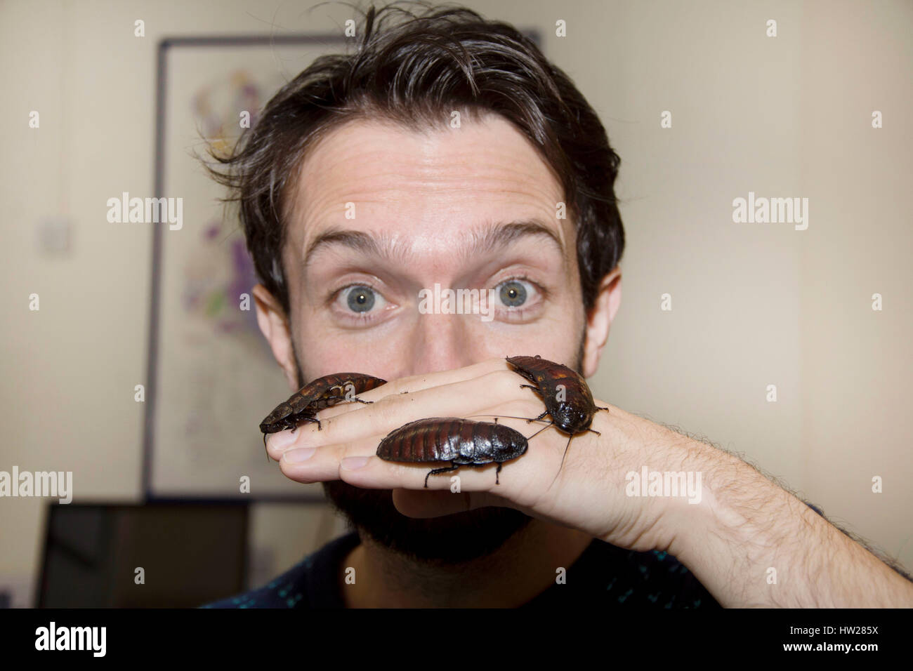 Dr tim cockerill -Fotos und -Bildmaterial in hoher Auflösung – Alamy