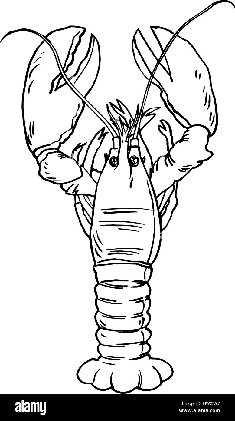 Hummer vektor -Fotos und -Bildmaterial in hoher Auflösung – Alamy