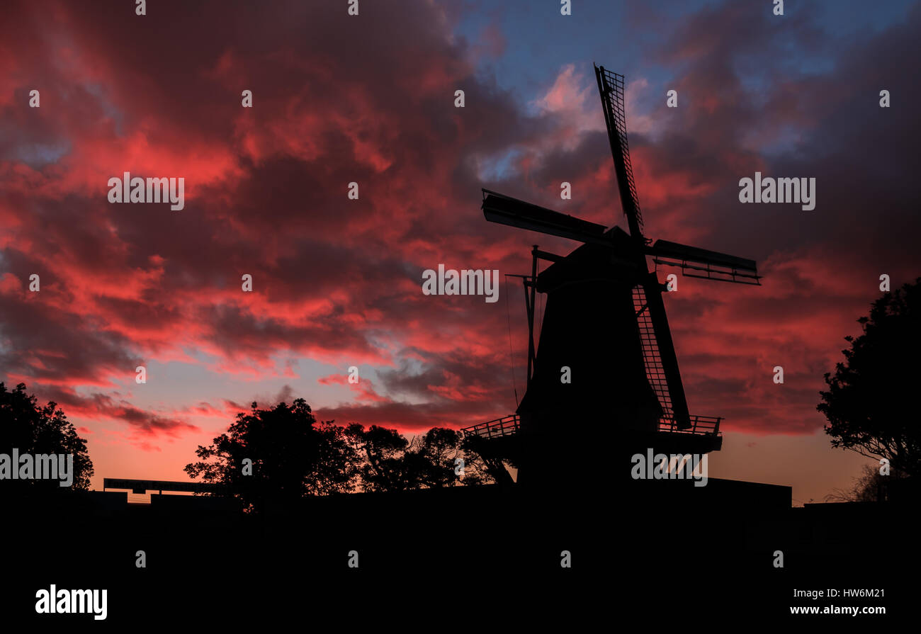 Foxton new zealand -Fotos und -Bildmaterial in hoher Auflösung – Alamy