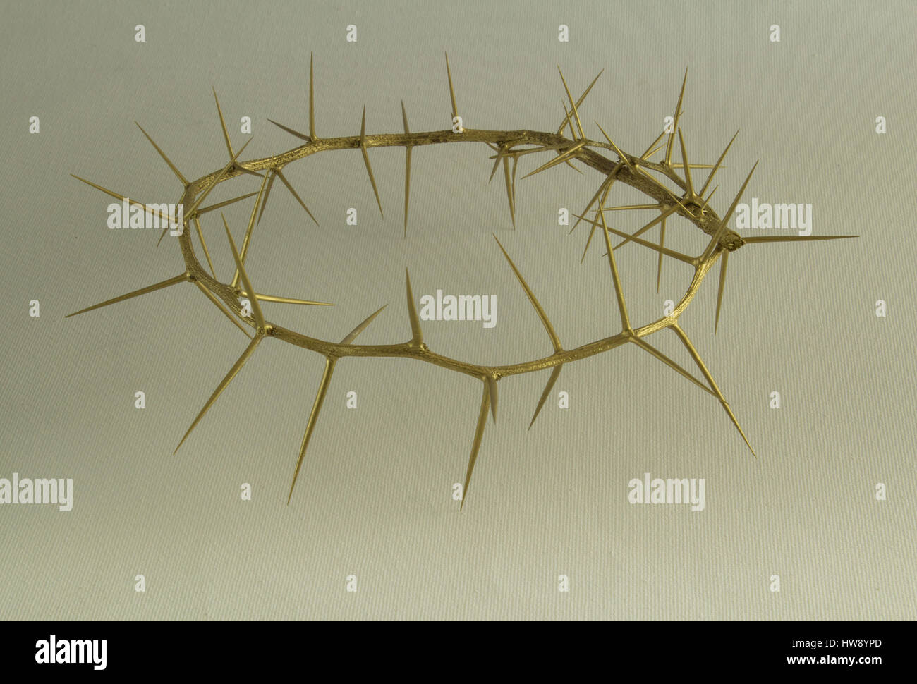Jesus thorns -Fotos und -Bildmaterial in hoher Auflösung - Seite 3 - Alamy