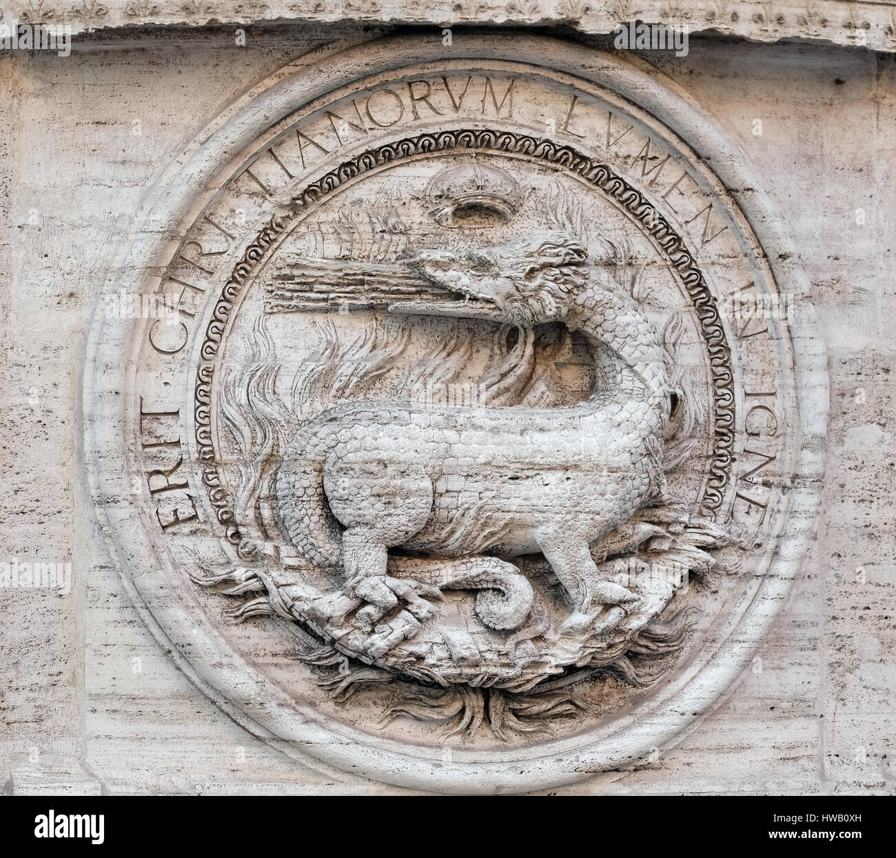 Die salamander -Fotos und -Bildmaterial in hoher Auflösung – Alamy