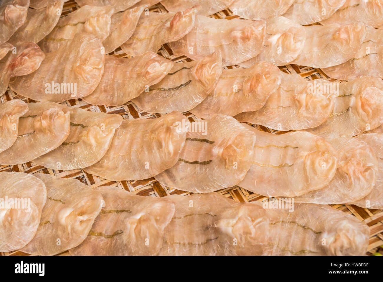 Getrockneter fischschlund -Fotos und -Bildmaterial in hoher Auflösung ...