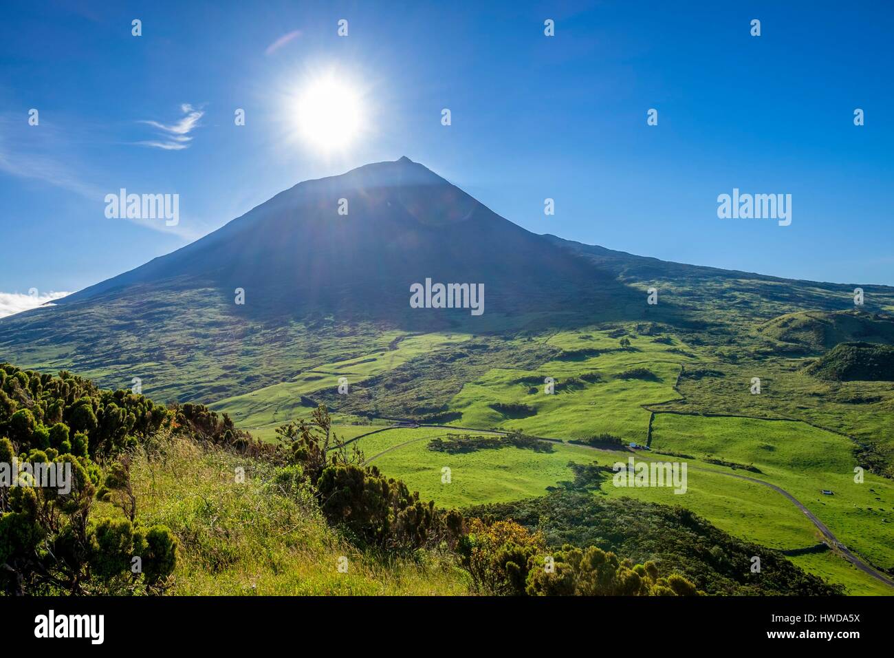 Pico Island Stockfotos und -bilder Kaufen - Alamy