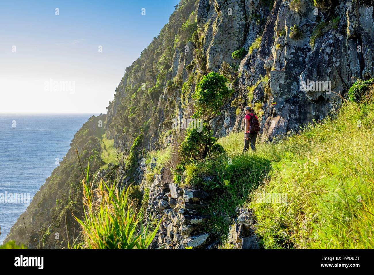 Portugal, Azoren, Insel Flores, Küsten-Wanderweg von Faja Grande nach ...