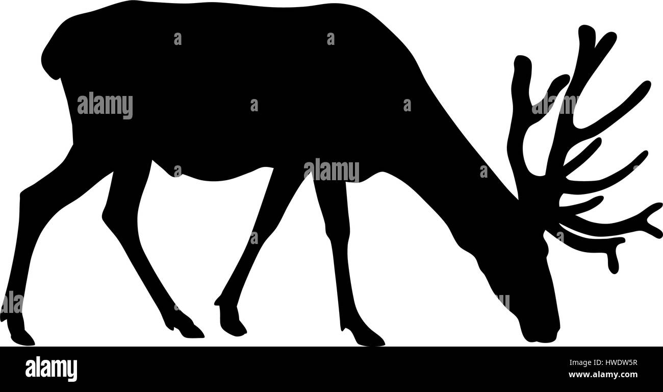 Hirsch silhouette vektor -Fotos und -Bildmaterial in hoher Auflösung ...