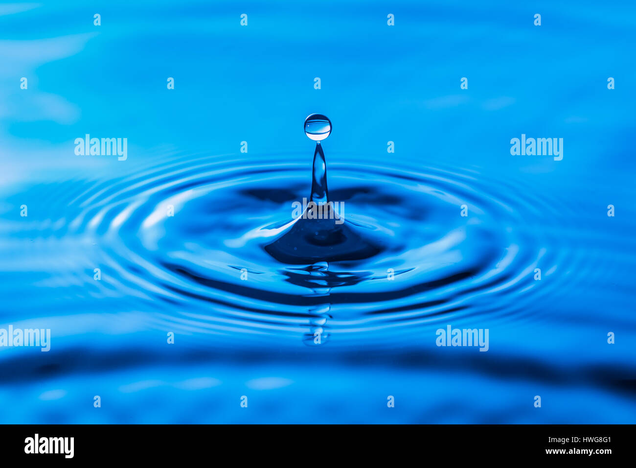 Leben im wassertropfen -Fotos und -Bildmaterial in hoher Auflösung – Alamy
