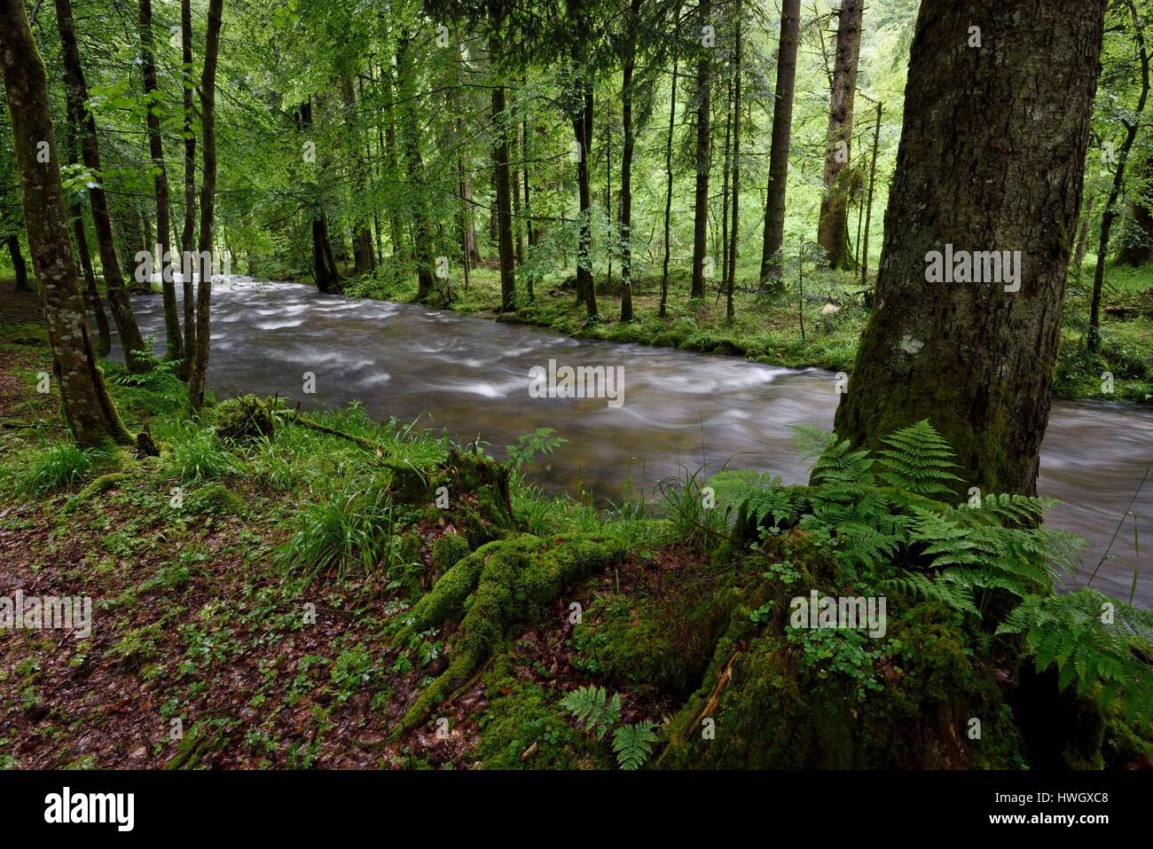 Ballon de servance -Fotos und -Bildmaterial in hoher Auflösung – Alamy