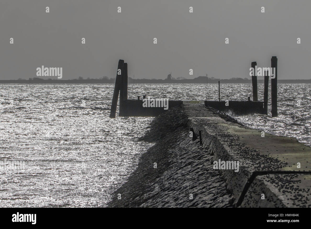 Island pellworm -Fotos und -Bildmaterial in hoher Auflösung – Alamy
