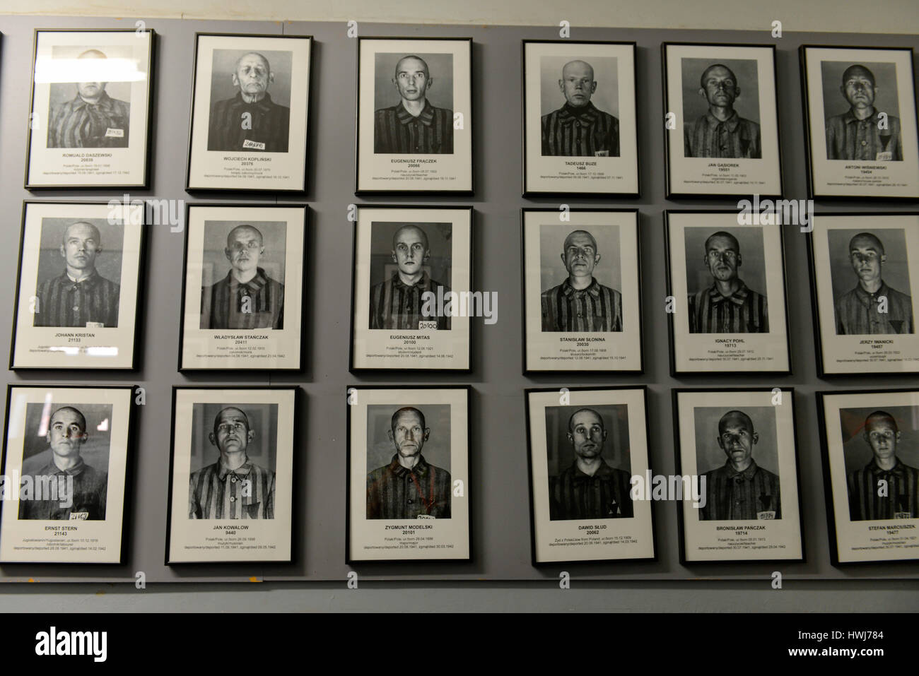 Stammlager, Ausstellung, Fotos, Opfer ich Konzentrationslager Auschwitz ...