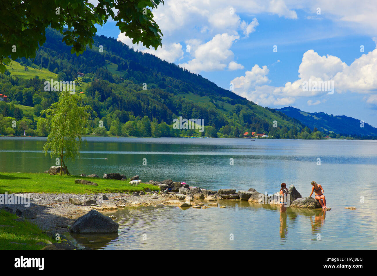 Buhl, See Bühl Alpsee See, Allgäu, Bayern, Deutschland, Europa ...