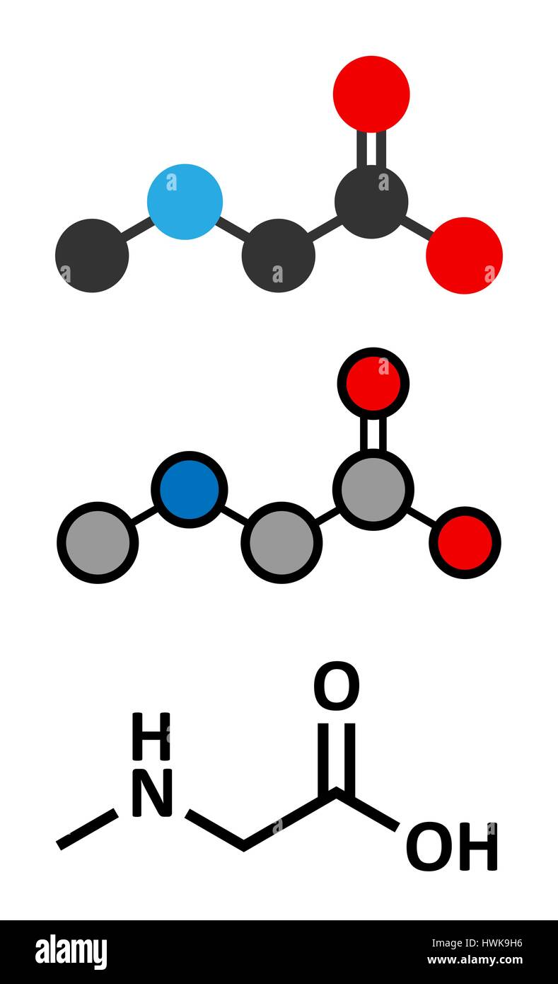 Sarkosin (N-Methylglycine)-Molekül. Stilisierte 2D Renderings und ...