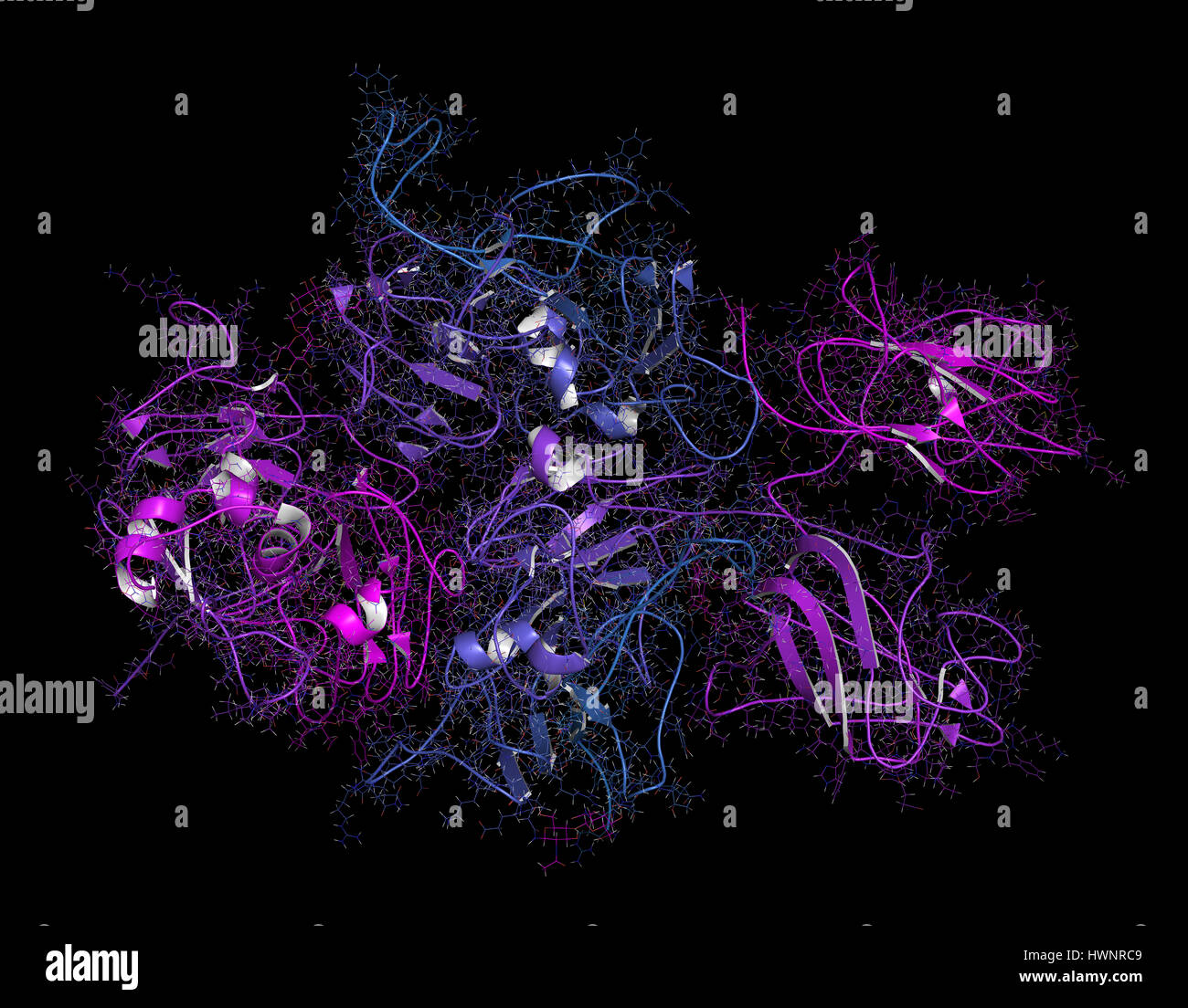 Koagulation Faktor VIII (fVIII) Protein, 3D rendering. Mangel ...