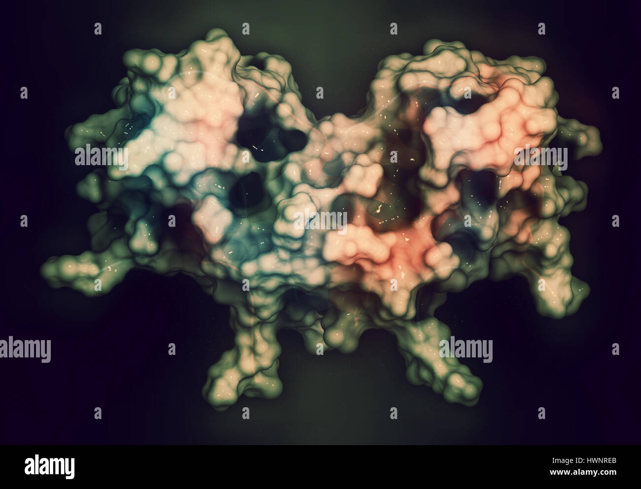 Interferon gamma -Fotos und -Bildmaterial in hoher Auflösung – Alamy