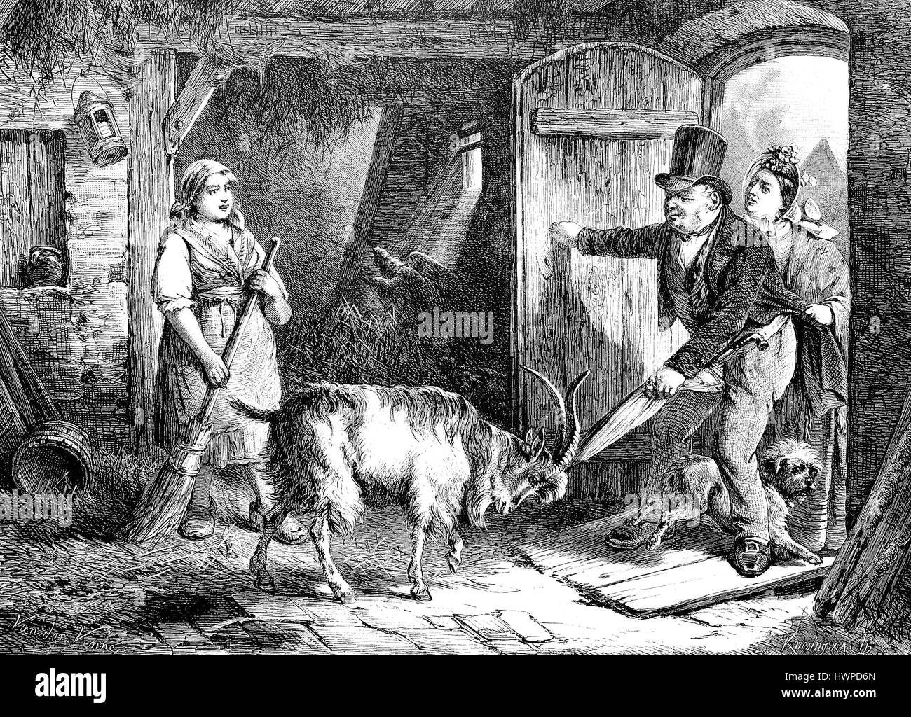 Sommergäste auf dem Bauernhof, einen Stall zu besuchen. Ziege zu ...