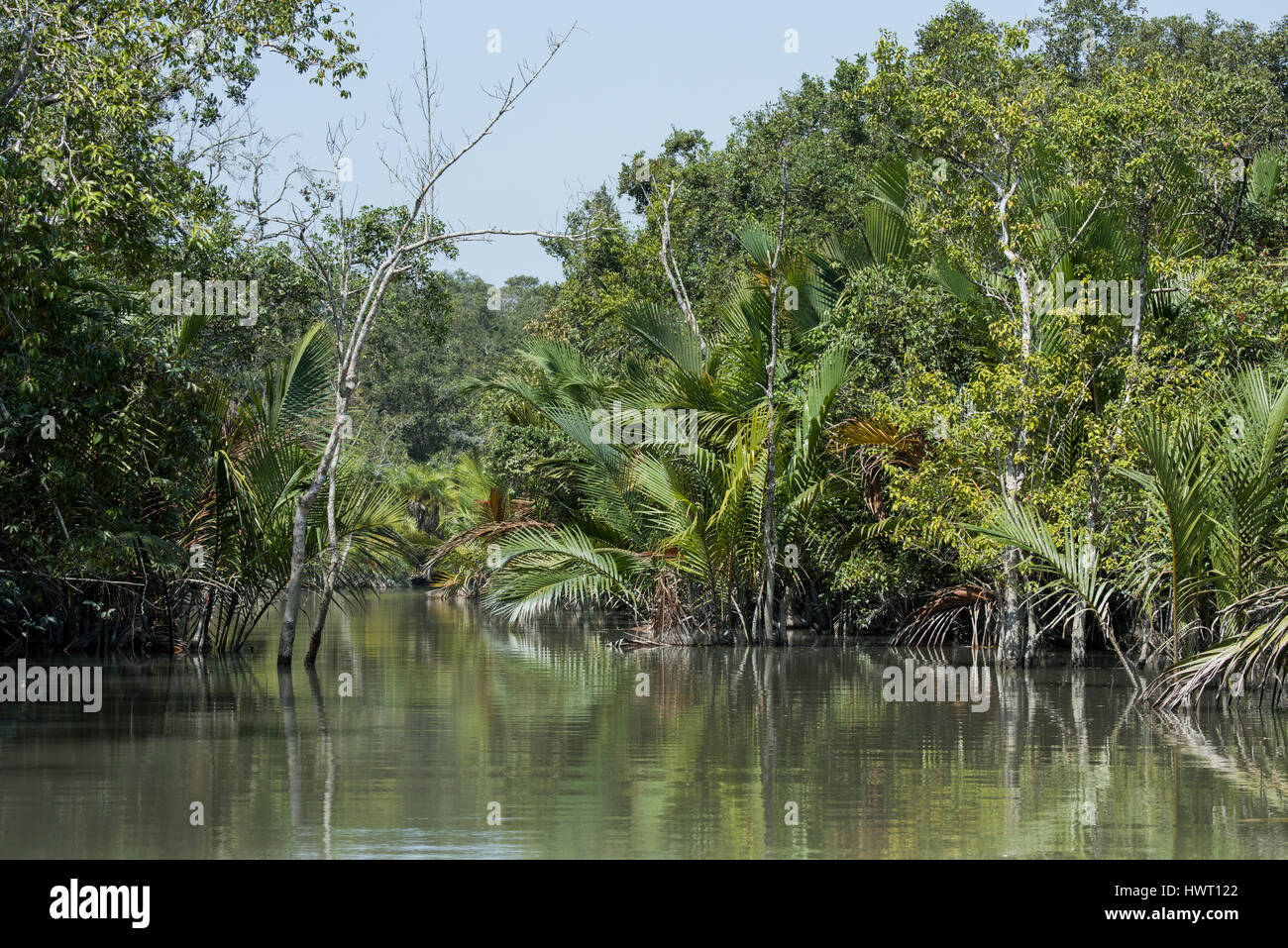 Bangladesch, die Sundarbans Sundarban-Nationalpark im Bereich Harbaria ...