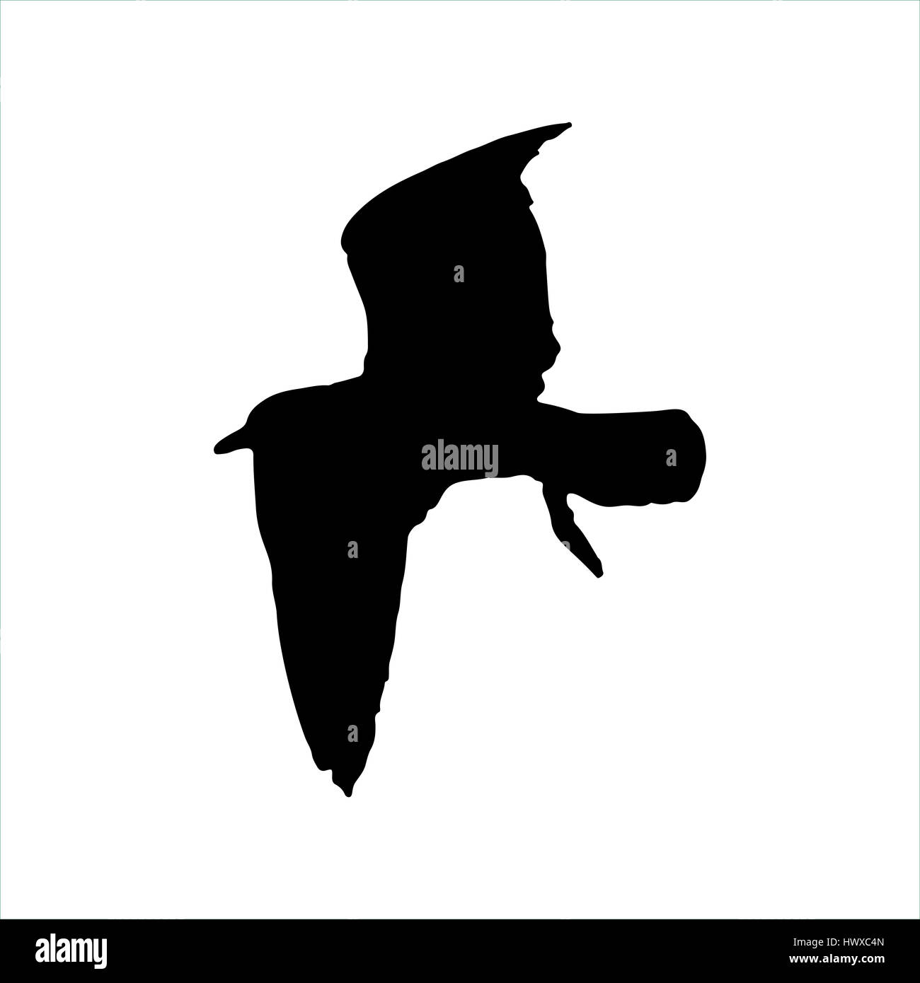 Flying seagull bird black silhouette -Fotos und -Bildmaterial in hoher ...