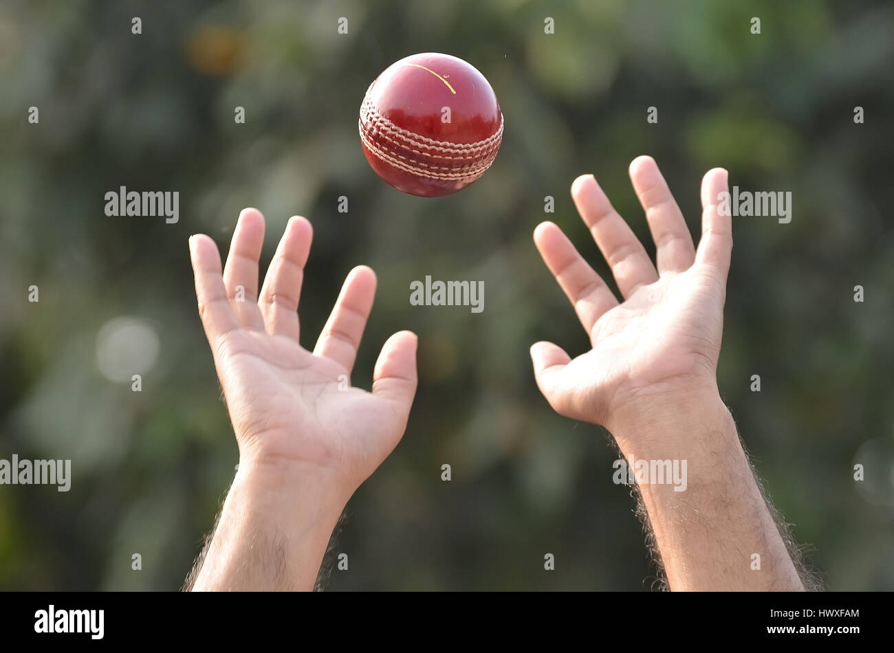 Den cricketball fangen -Fotos und -Bildmaterial in hoher Auflösung – Alamy