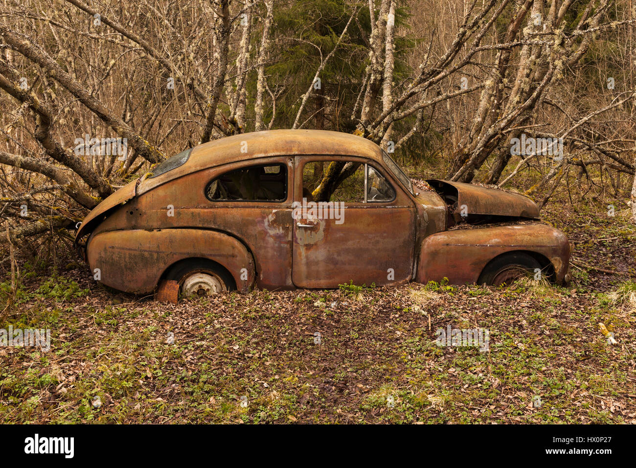 Rusty old car scrap yard -Fotos und -Bildmaterial in hoher Auflösung ...