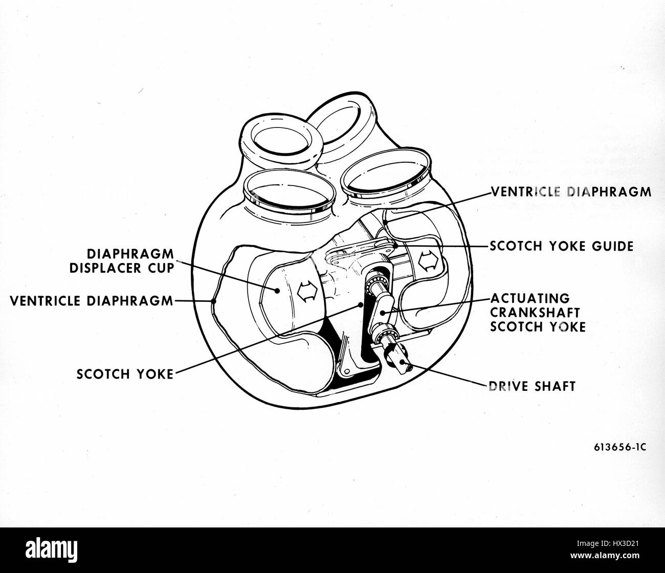 Cutaway Abbildung das Diagramm zeigt die verschiedenen Teile der Blutpumpe für ein Kunstherz ...