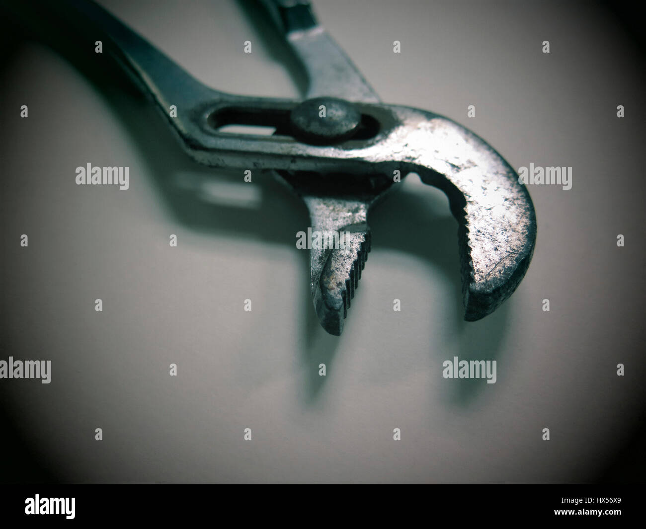 Hold your tongue -Fotos und -Bildmaterial in hoher Auflösung – Alamy