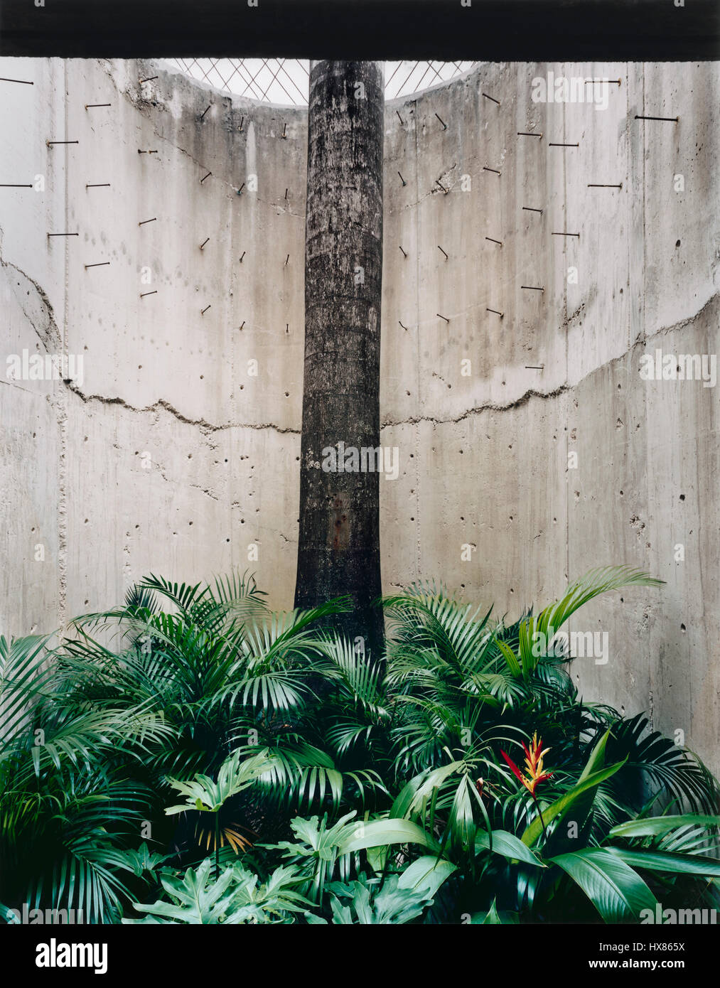 San kofferraum -Fotos und -Bildmaterial in hoher Auflösung – Alamy